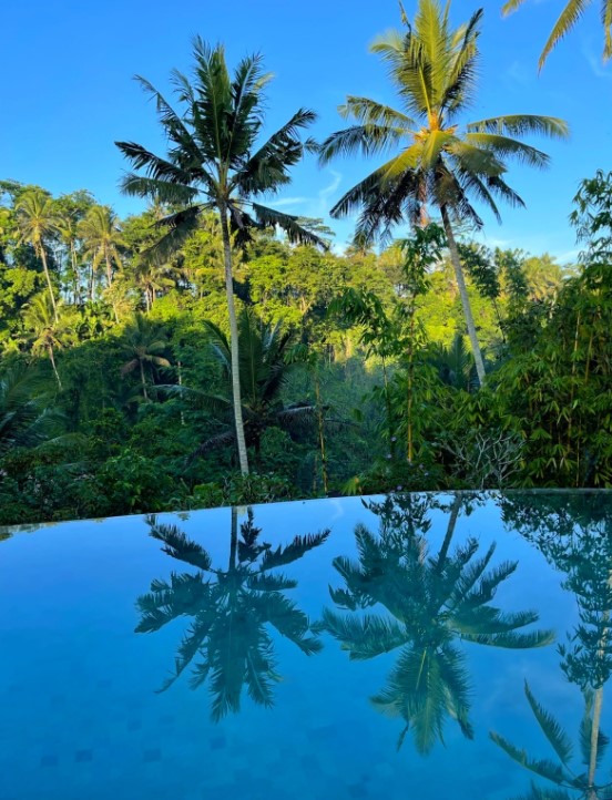 Natya Resort Ubud Private Pool Villa – Best Bali Honeymoon Spot